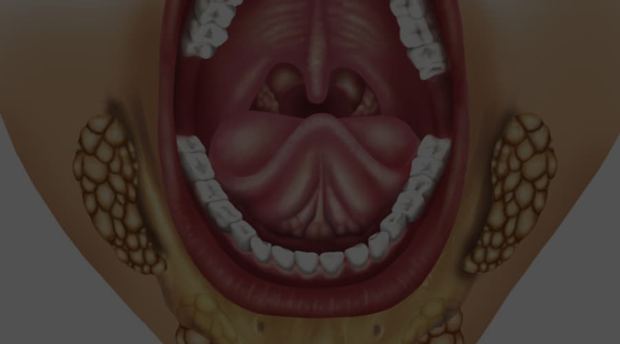 What is the sublingual gland and what is its function? | Smile Care ...